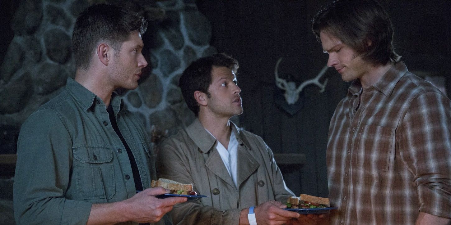 Supernatural: 10 Hidden Details You Missed About Sam & Castiel's ...