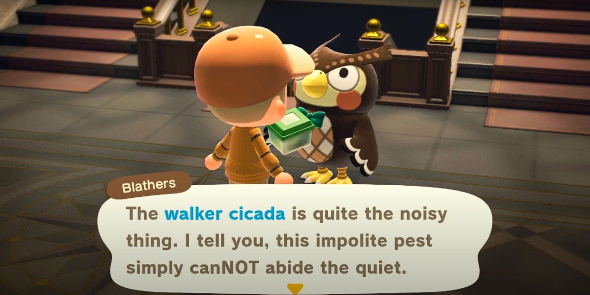 How to Find (& Catch) The Walker Cicada in Animal Crossing