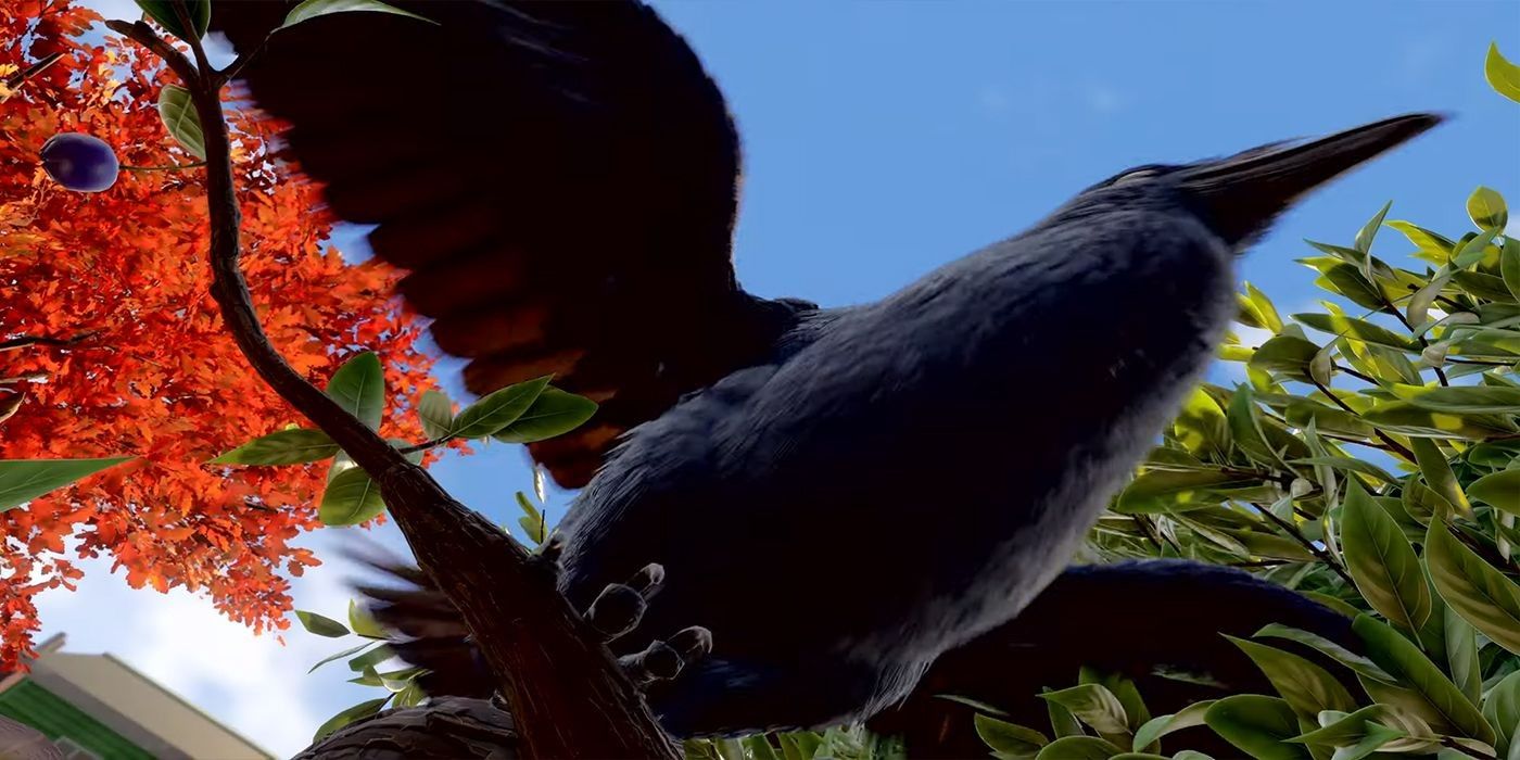 Grounded: Where to Find The Crow (& What it Does)