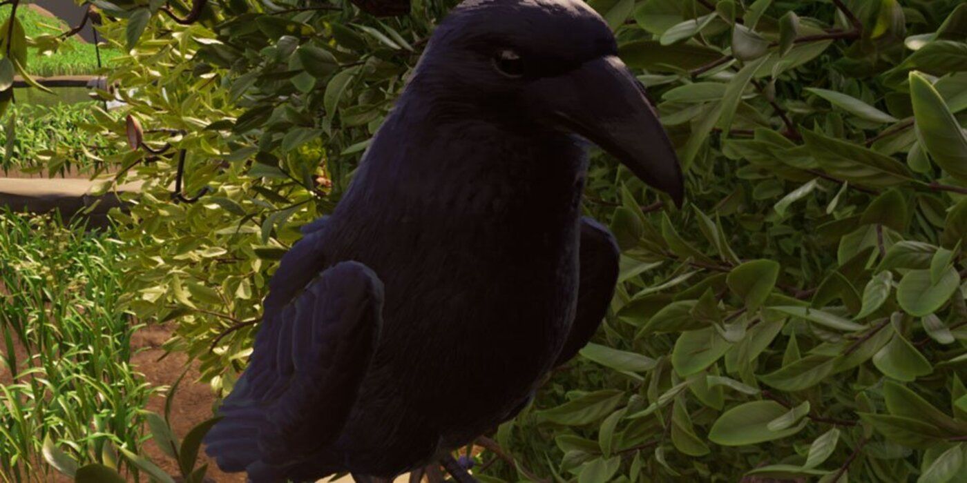 How to Get Bird Feathers in Grounded (& What They’re For)