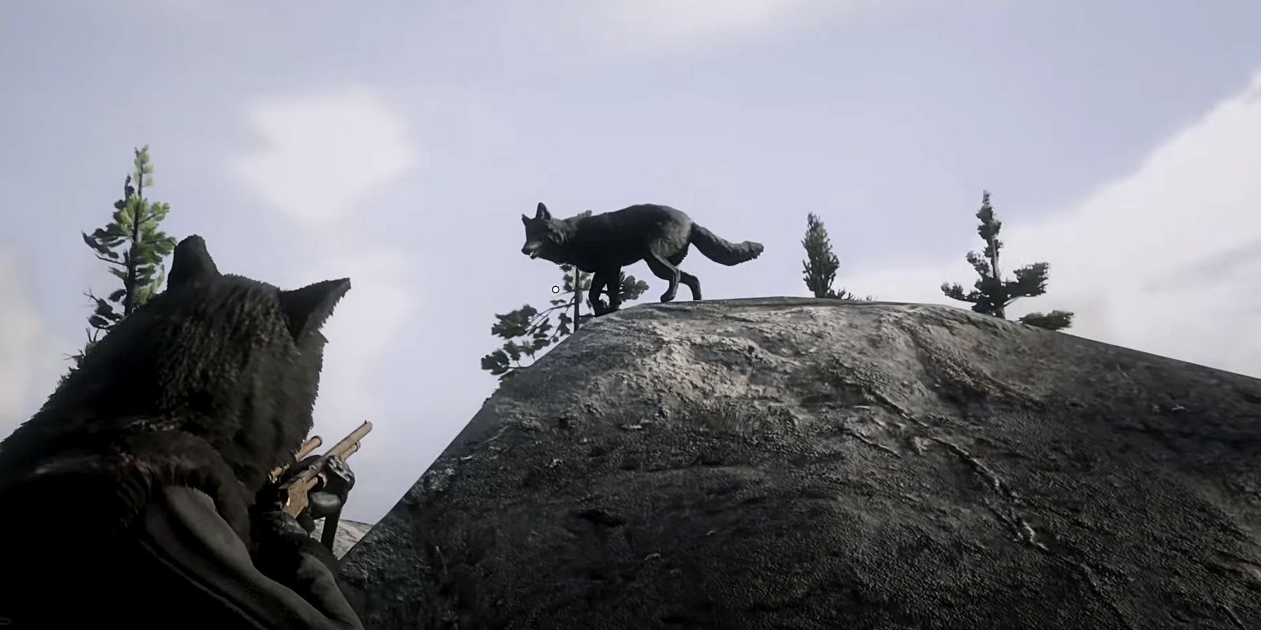 Where to Find The Legendary Midnight Paw Coyote Location in Red Dead Online
