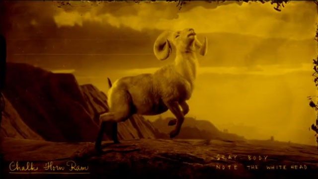 Where to Find The Legendary Gabbro Horn Ram Location in Red Dead Online