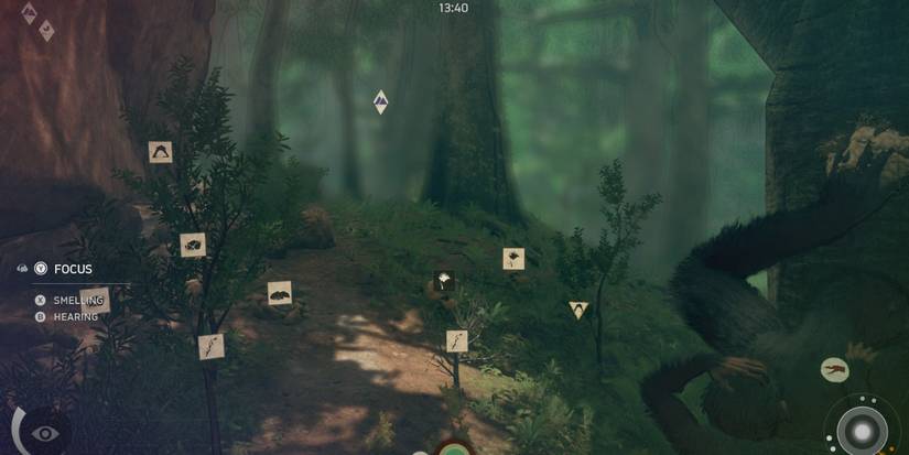 Ancestors: The Humankind Odyssey - Crafting Guide (Tips, Tricks ...