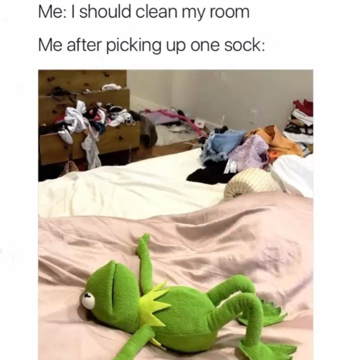 Muppets: 10 Funniest Kermit The Frog Memes