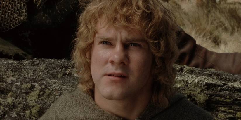 The Lord Of The Rings Trilogy Cast & Character Guide