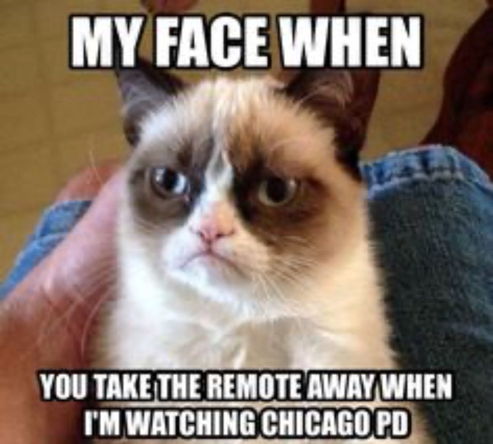 Chicago P.D. Memes That Are Too Hilarious For Words