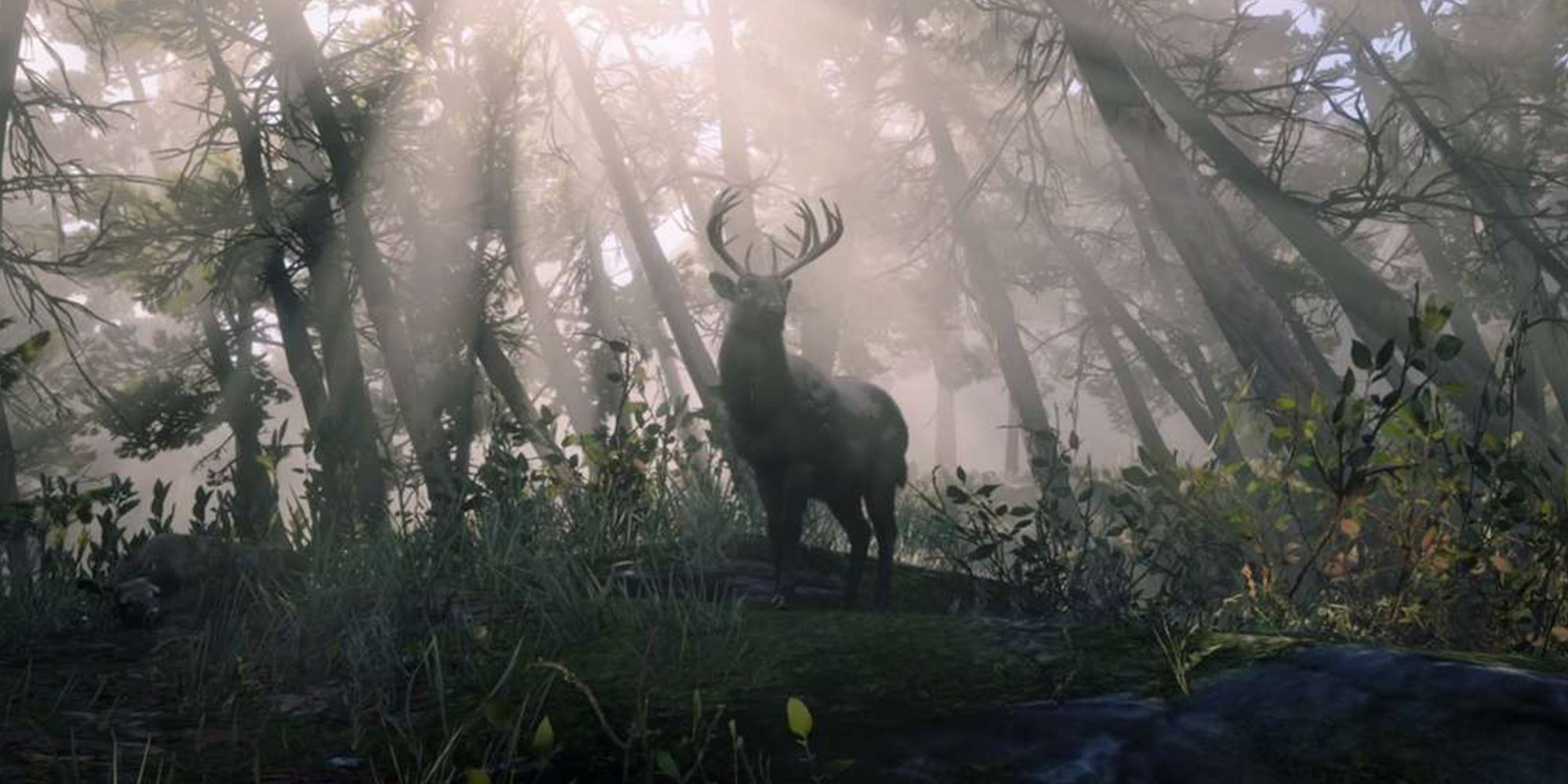 Where to Find The Legendary Shadow Buck Location in Red Dead Online