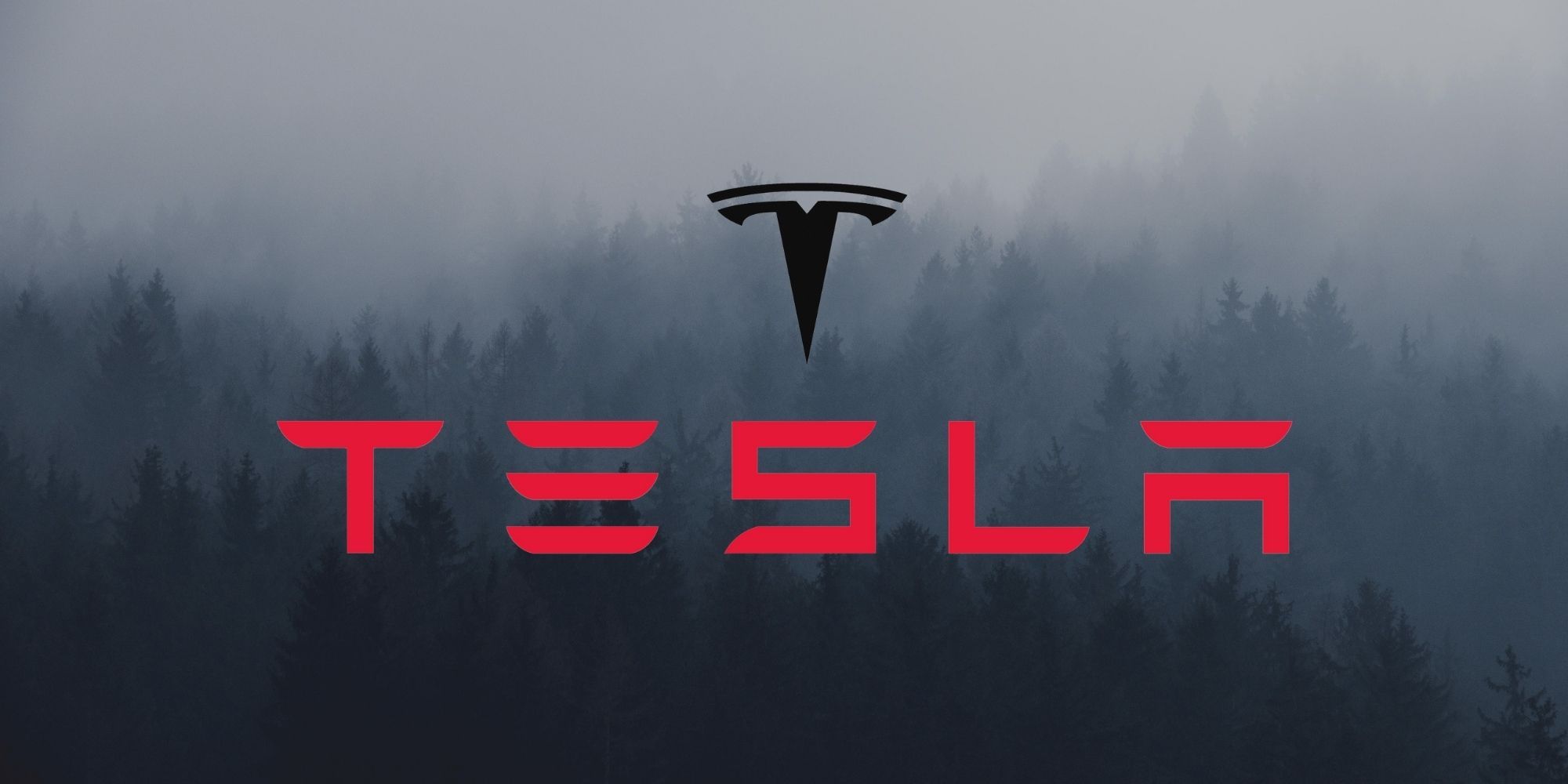 Elon Musk Says Tesla Must Have To Start Mining Lithium