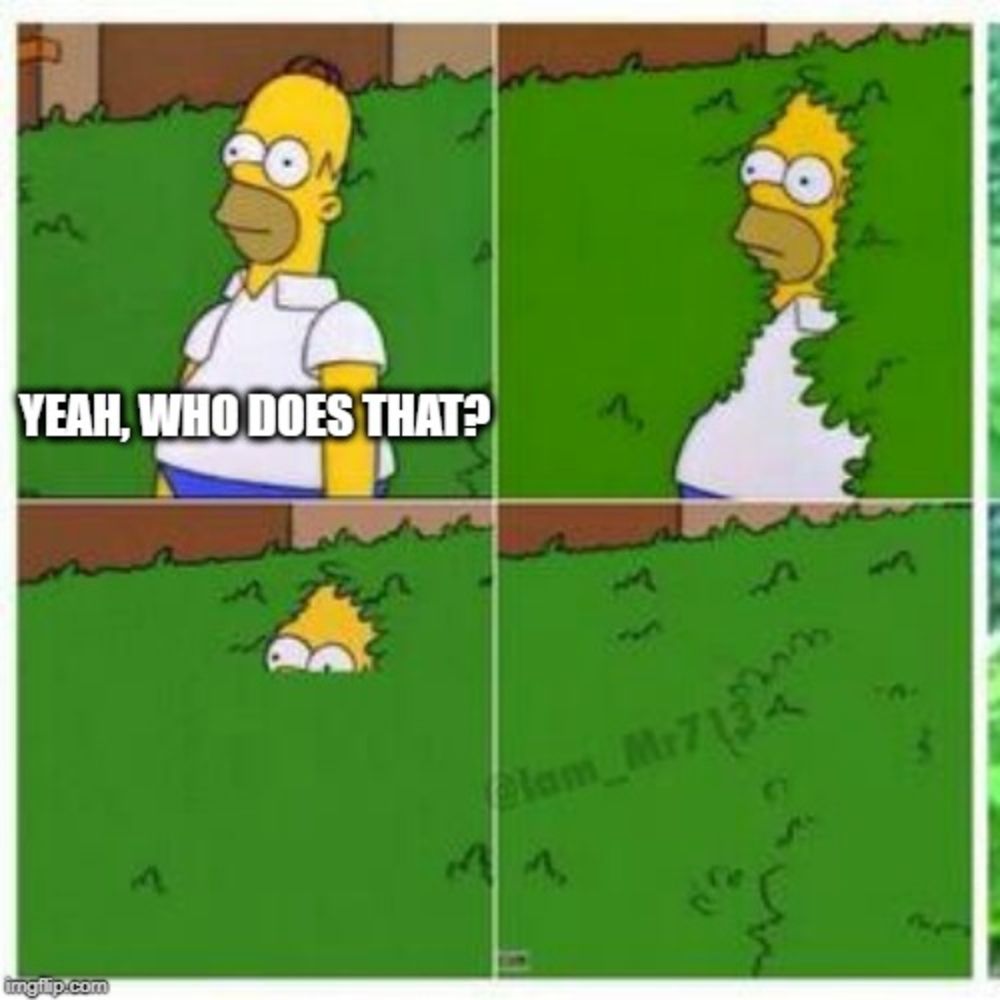 The Simpsons: 10 Funniest Homer Simpson Bush Memes That Make Us Laugh