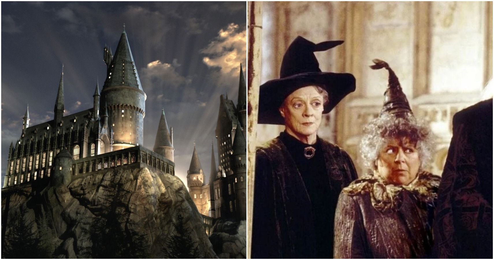 Harry Potter: What Subjects Would Hogwarts Professors Teach In Regular ...