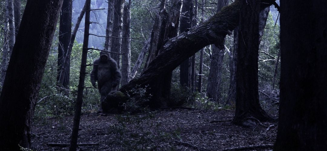 10 Best Movies About Cryptids, Ranked