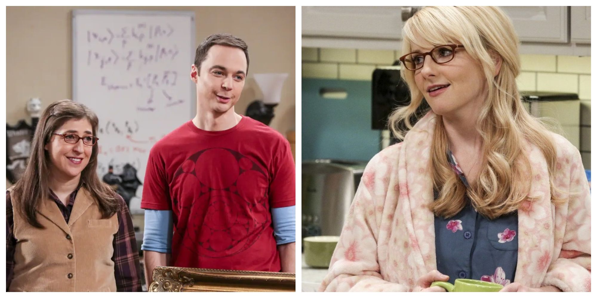 Big Bang Theory: Main Characters Ranked From Most To Least Likely To Die In A Horror Movie