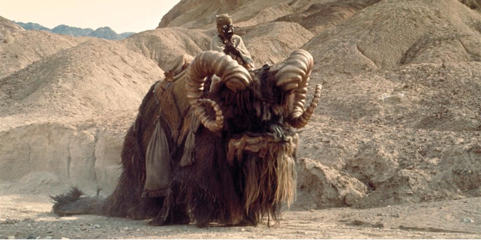 Tusken Raider Culture Explained: Religion, Dogs, Families, Dragons, Banthas