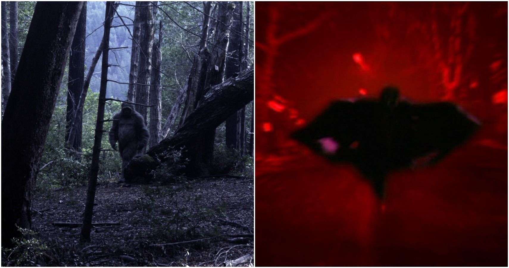 10 Best Movies About Cryptids, Ranked