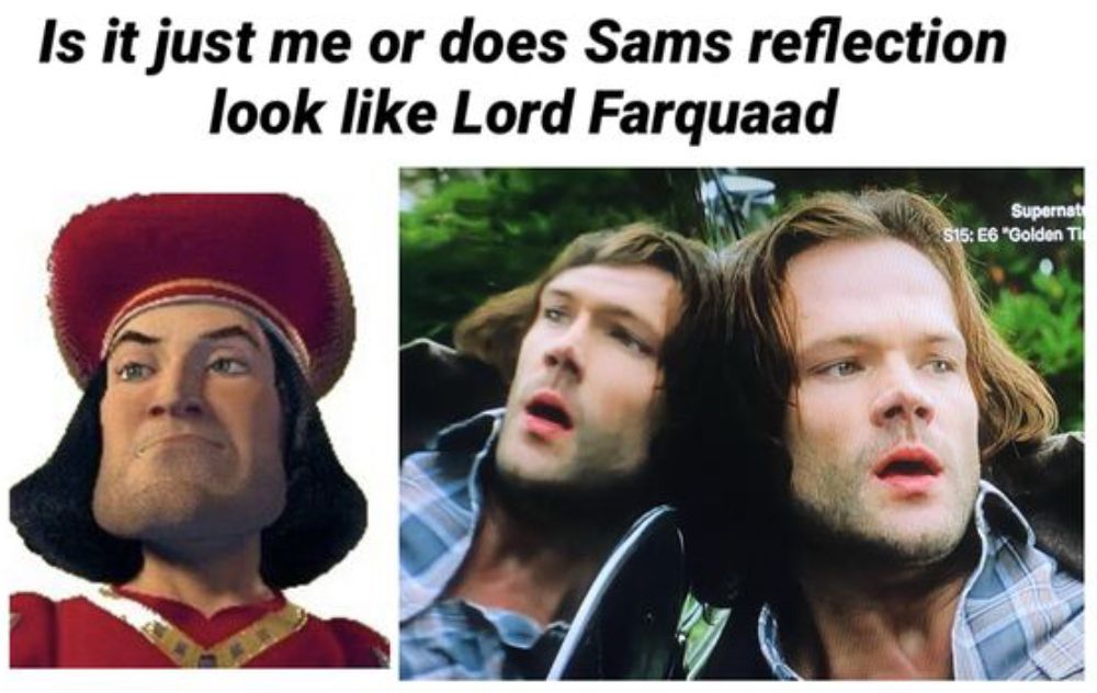 Shrek: Top 10 Hilarious Lord Farquaad Memes