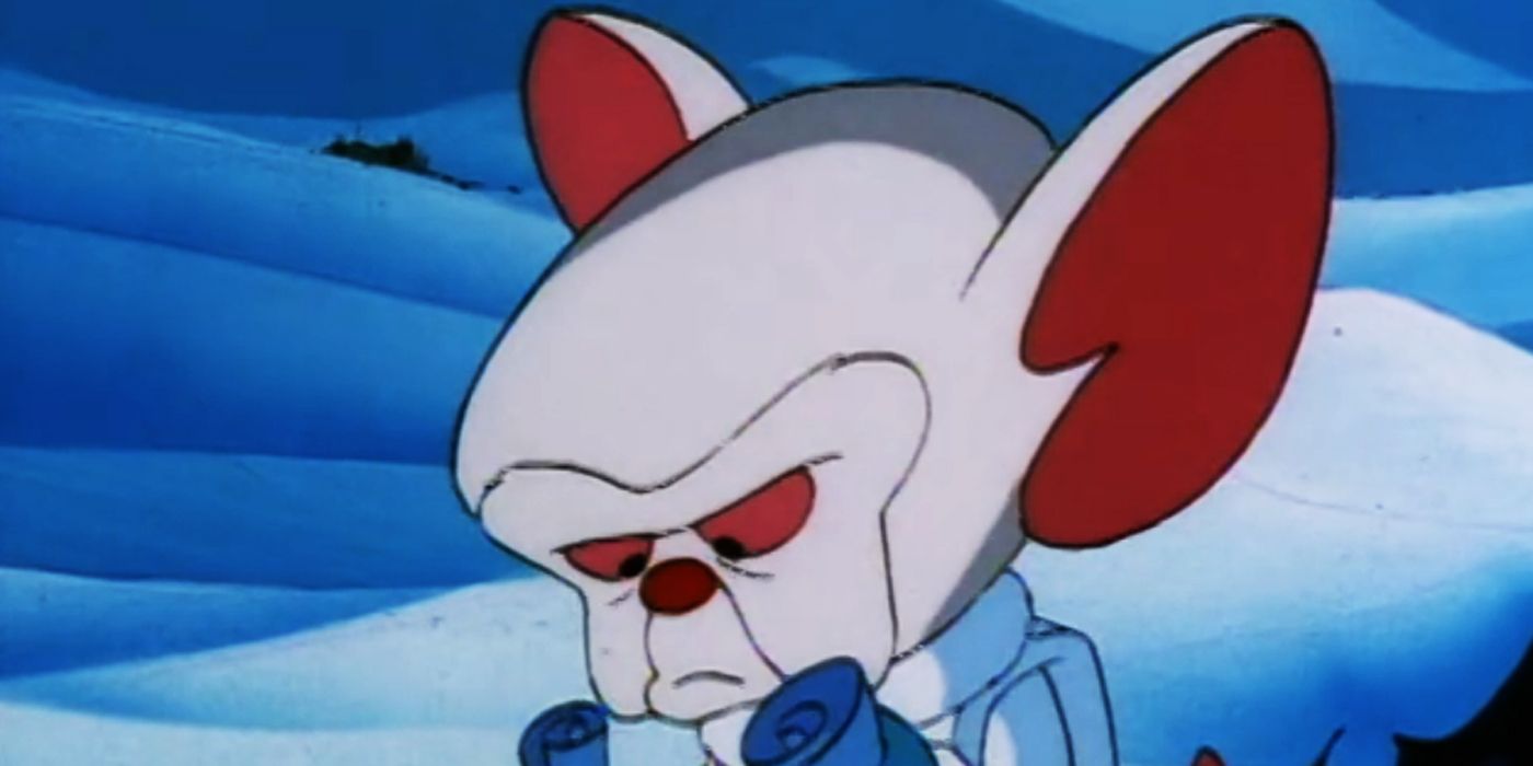 10 Most Intelligent Animaniacs Characters, Ranked Dumbest To Smartest