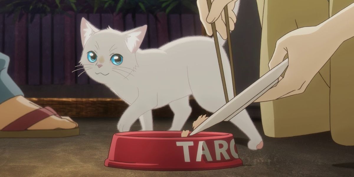 10 Animated Cat Movies For Cat Lovers