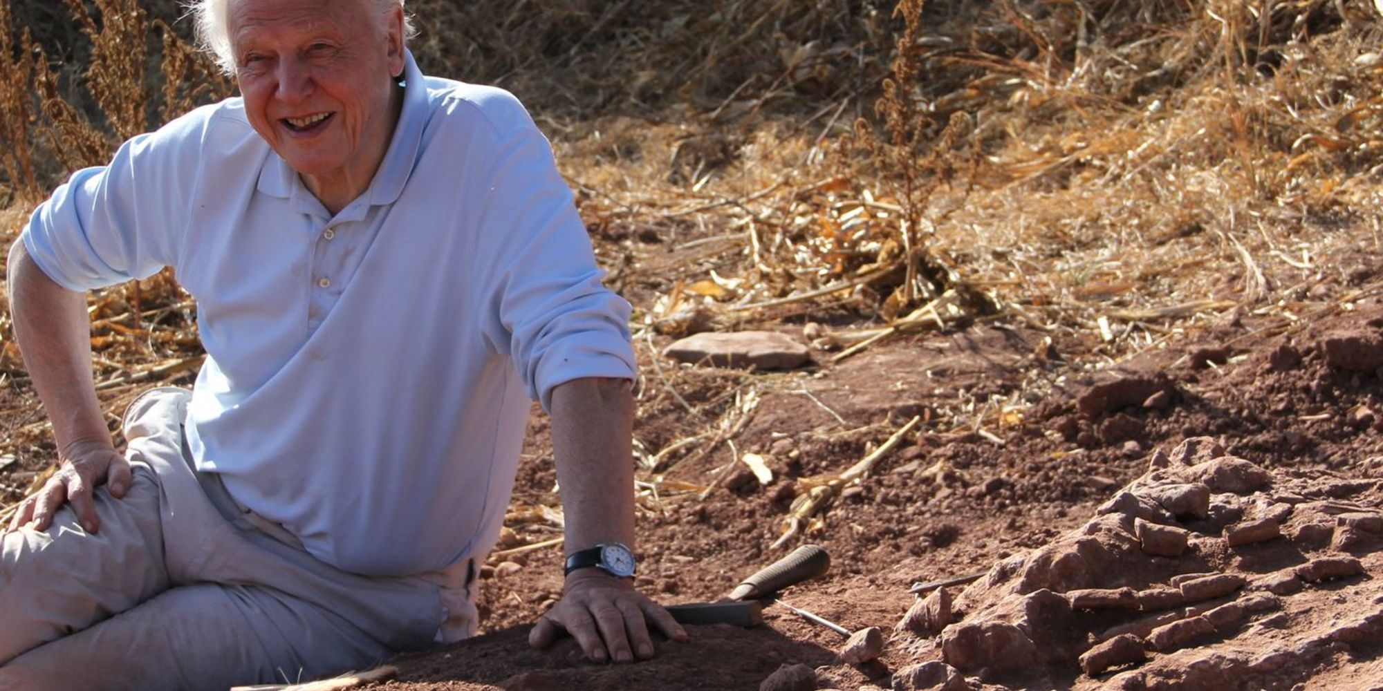 A Life On Our Planet: 10 Behind The Scenes Facts You Need To Know