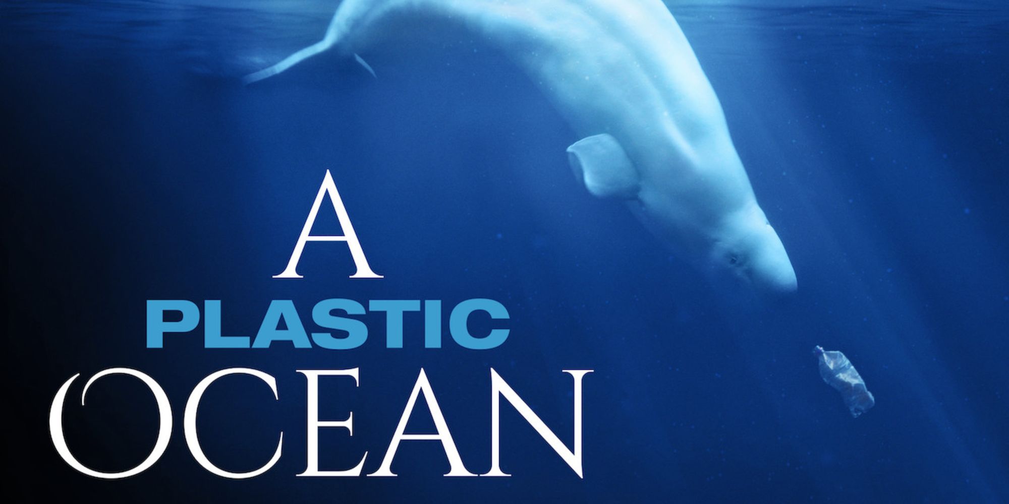 A Life On Our Planet: 10 Similarly Fascinating Documentaries To Watch