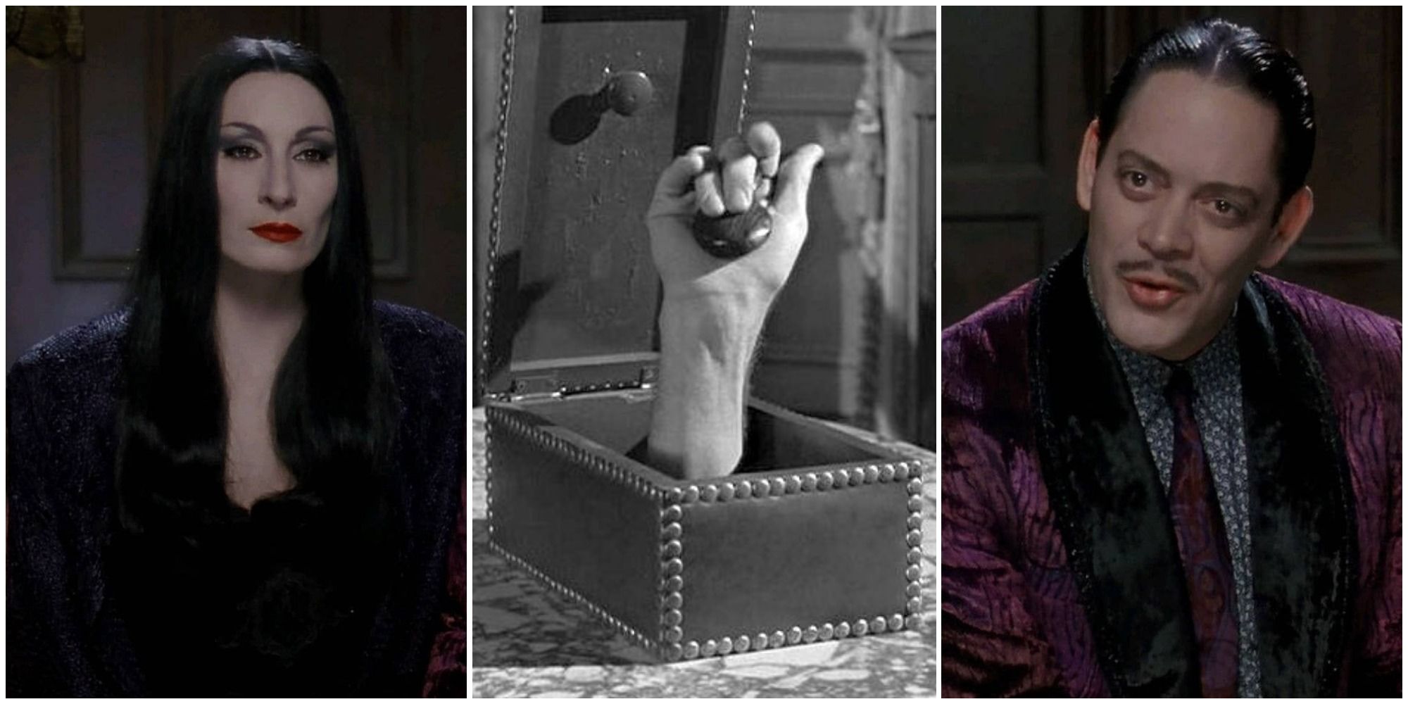 Wednesday characters zodiac 60 photos - Astrologytoyou.com