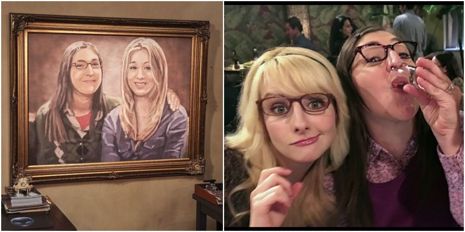 The Big Bang Theory 10 Things That Make Sense About Amy