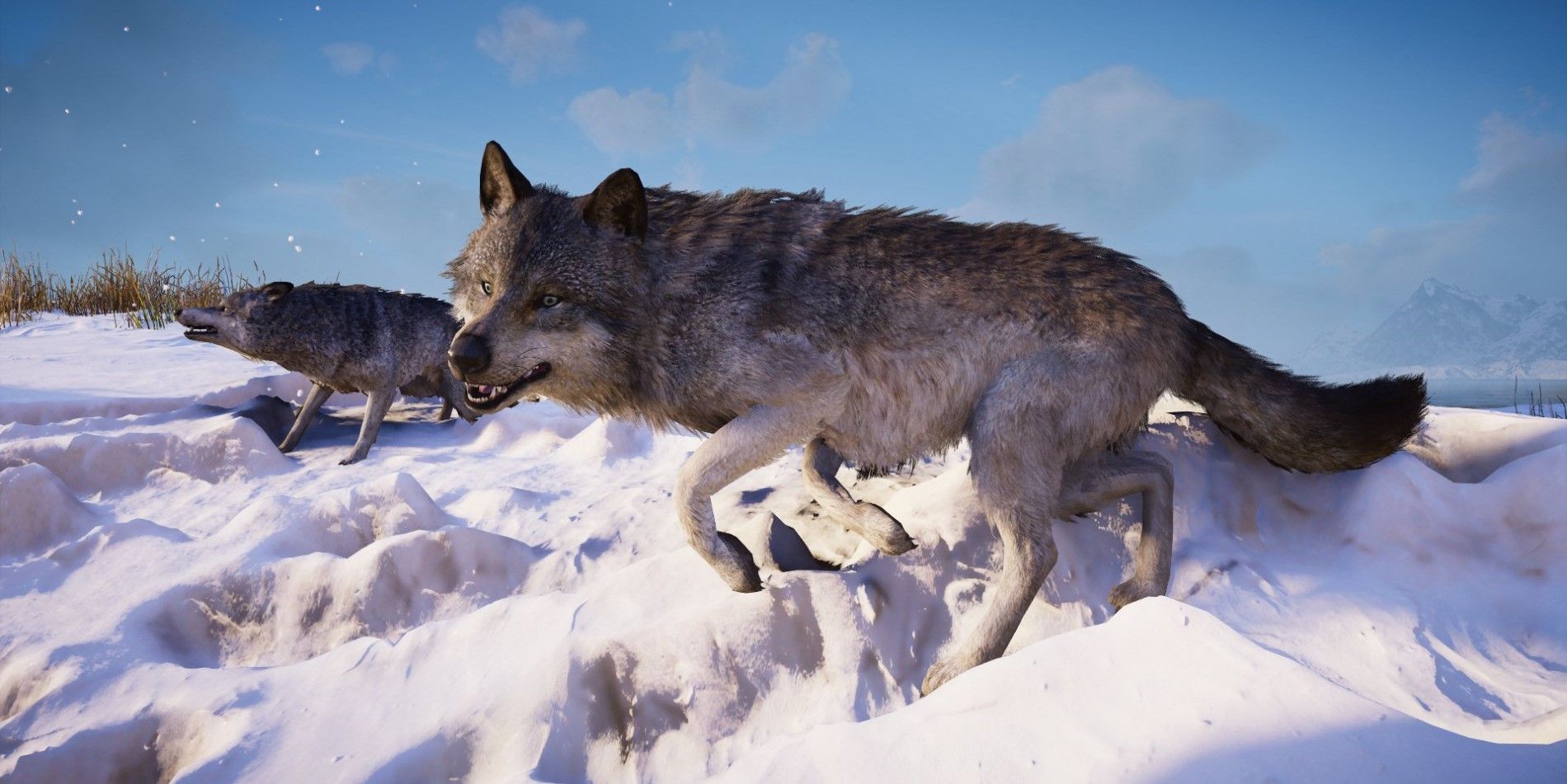 How to Find The Legendary Gemad-Wulf Location in Assassin’s Creed Valhalla