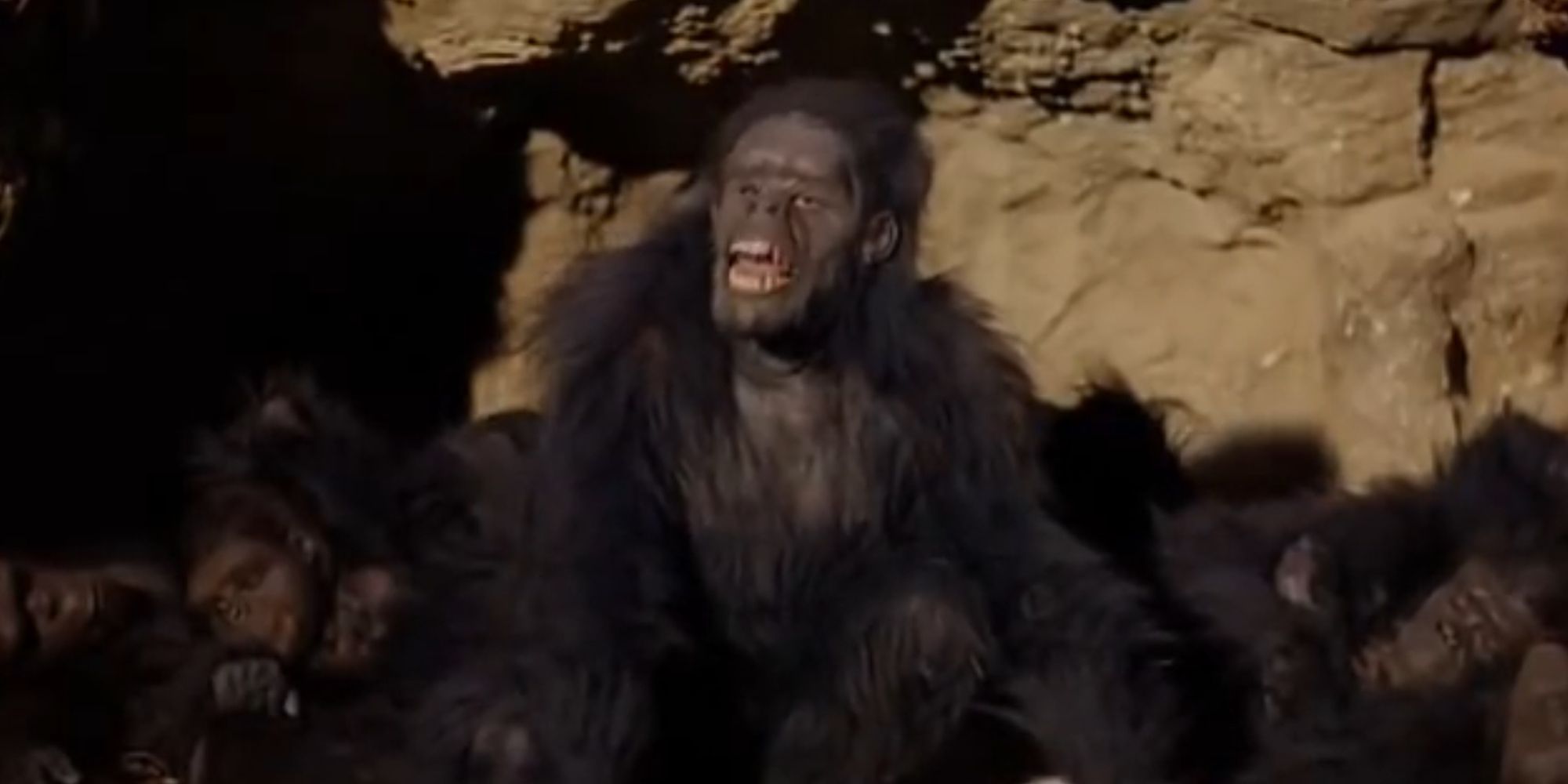 Monkey Business: 10 Best Monkeys In Movie History, Ranked