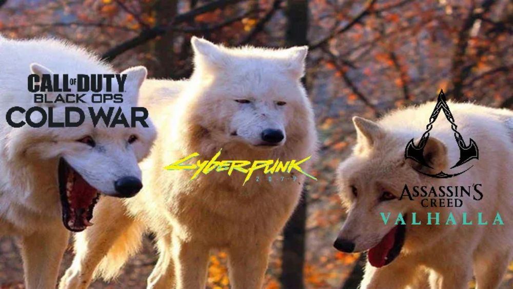 10 Hilarious Call of Duty Black Ops Cold War Memes That Still Have Us ...