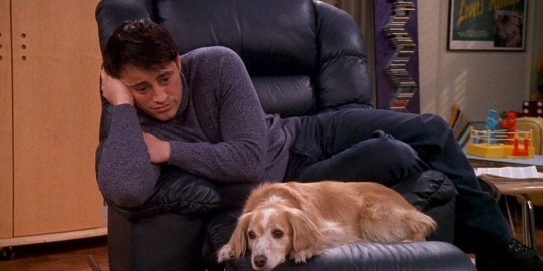 Friends: 10 Saddest Things About Joey Tribbiani