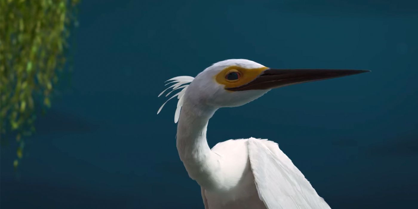 Over The Moon: What Each Animal Represents (Symbolism Explained)
