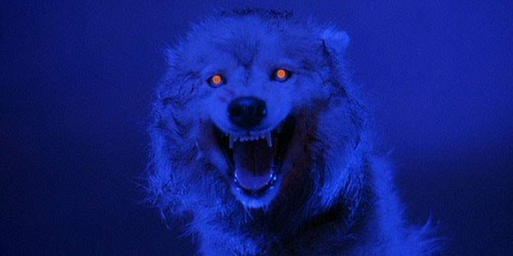 The 10 Scariest Dogs In Horror Movie History