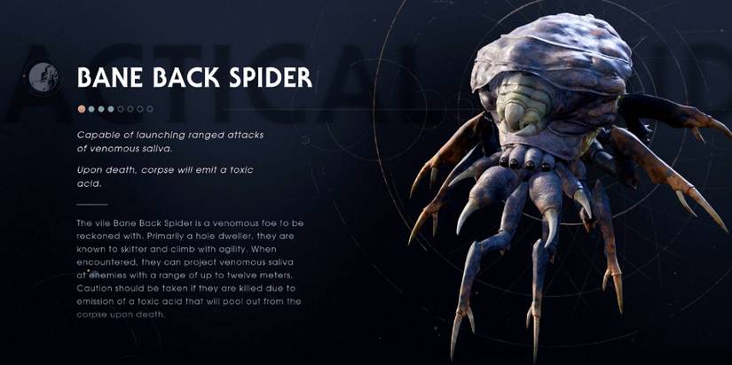 A History Of Giant Spiders In Star Wars: All 8 Species In Canon & Legends