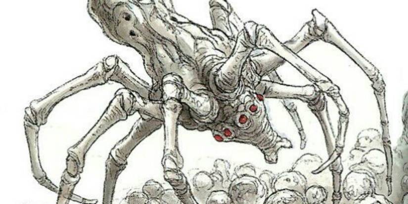 A History Of Giant Spiders In Star Wars: All 8 Species In Canon & Legends