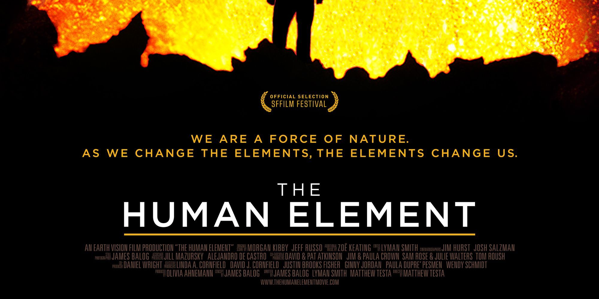 A Life On Our Planet: 10 Similarly Fascinating Documentaries To Watch