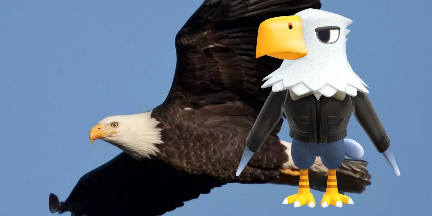 Animal Crossing's Best Villagers: What They Look Like In Real Life