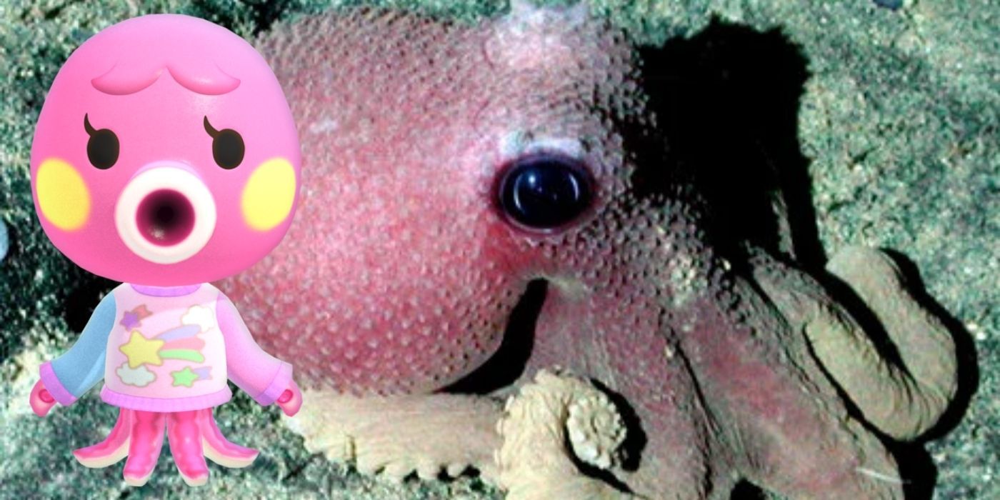 Animal Crossing's Best Villagers: What They Look Like In Real Life