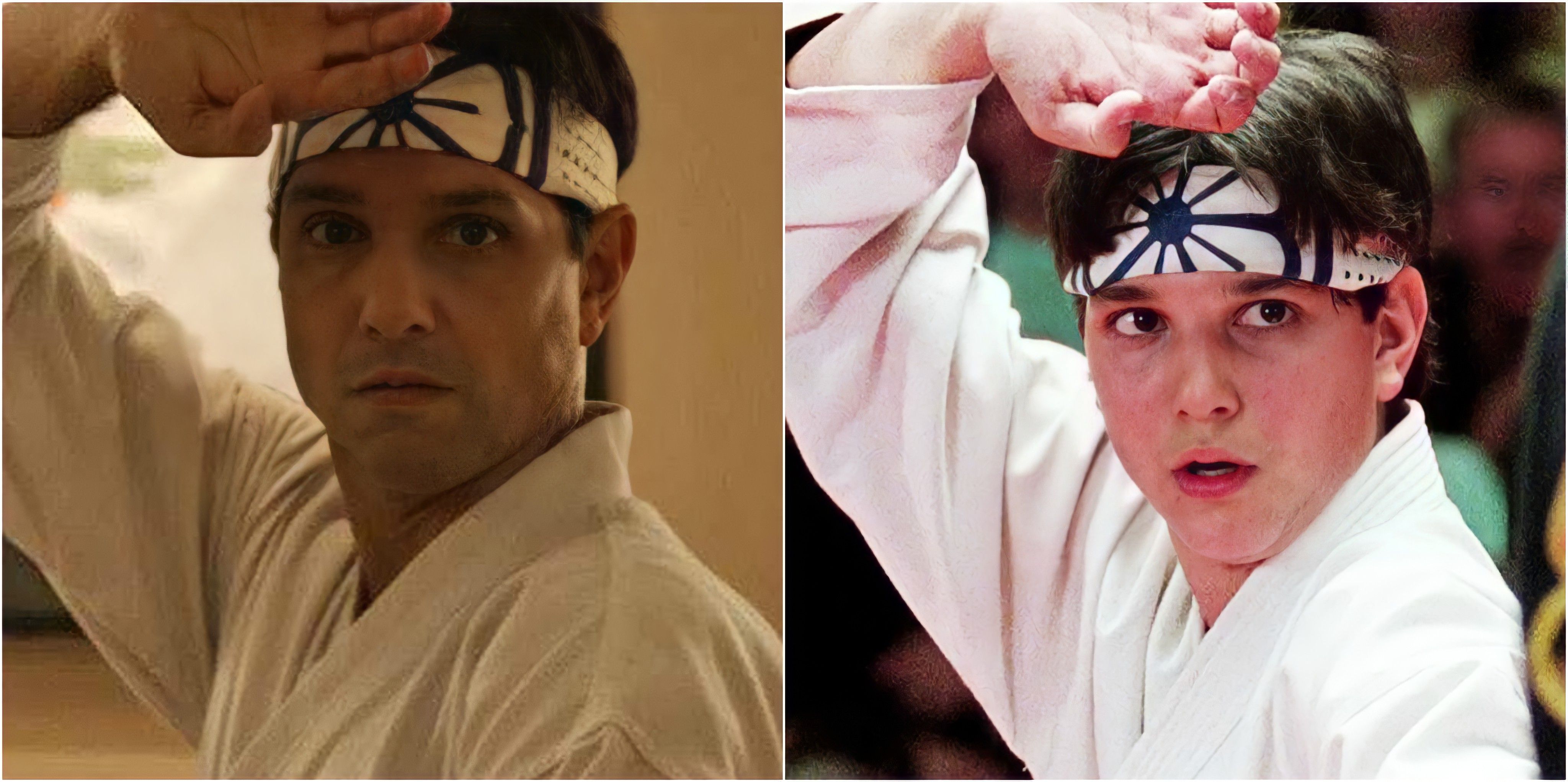 Cobra Kai: 10 Unpopular Opinions, According To Reddit