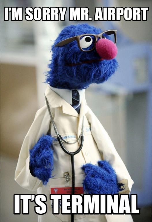 10 Adorable, Hilarious Sesame Street Memes That Take Us Back To Our ...