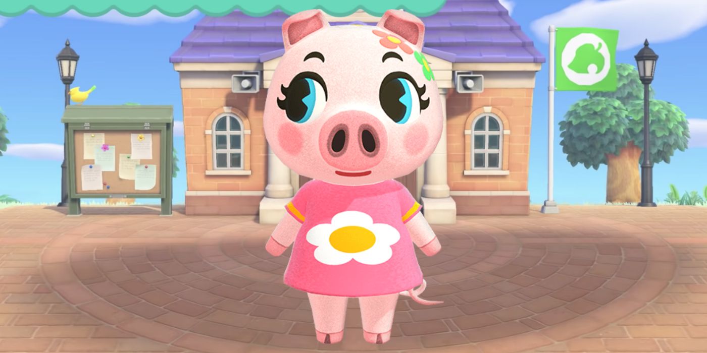 Animal Crossing New Horizons: 5 Villagers We'd Love To Go Camping With ...