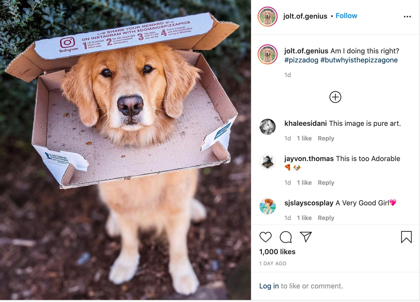 Hawkeye’s Lucky The Pizza Dog Poses With Actual Pizza Box