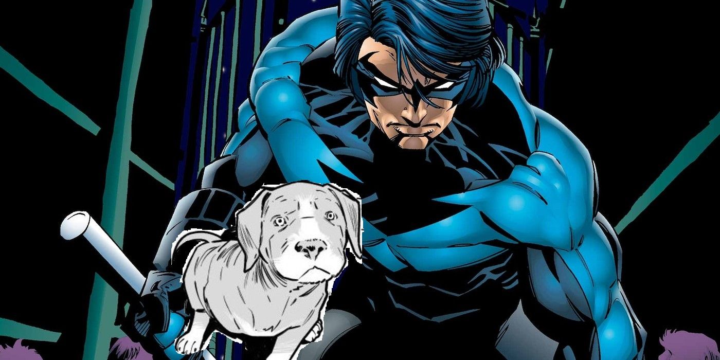 Robin Partners With Nightwing's Puppy For Undercover Mission