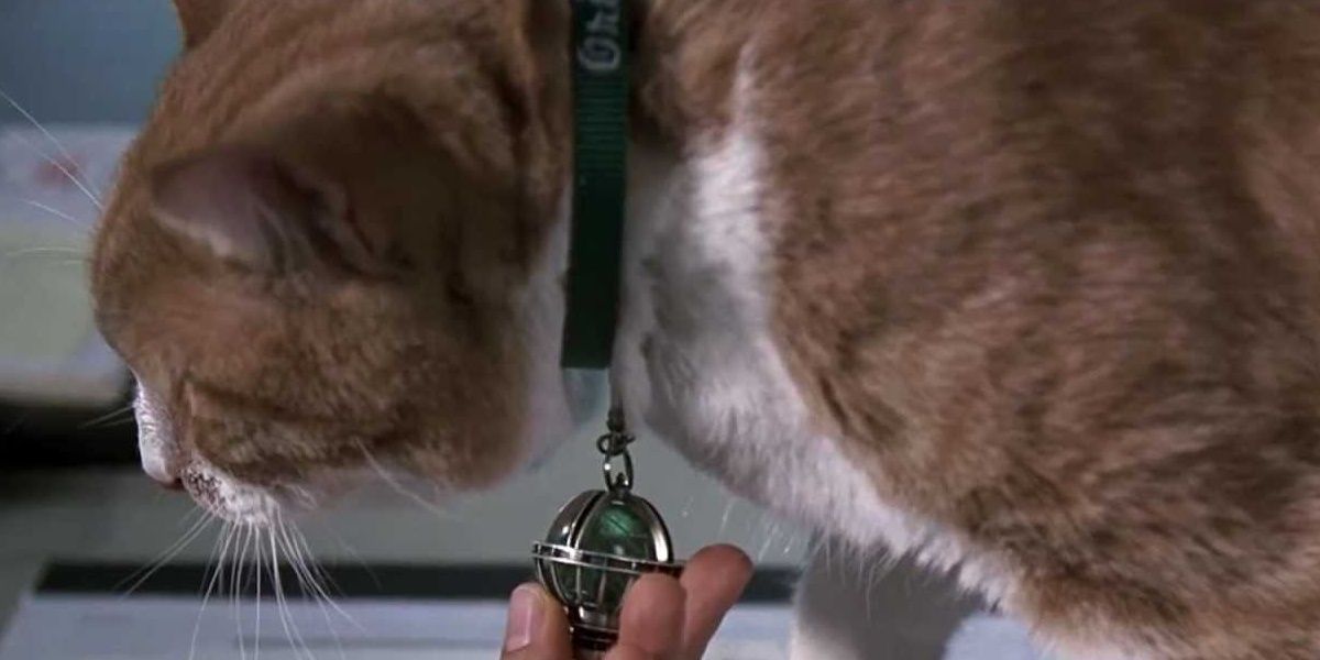 10 Movie Cats That Prove Why They Are Superior To Dogs