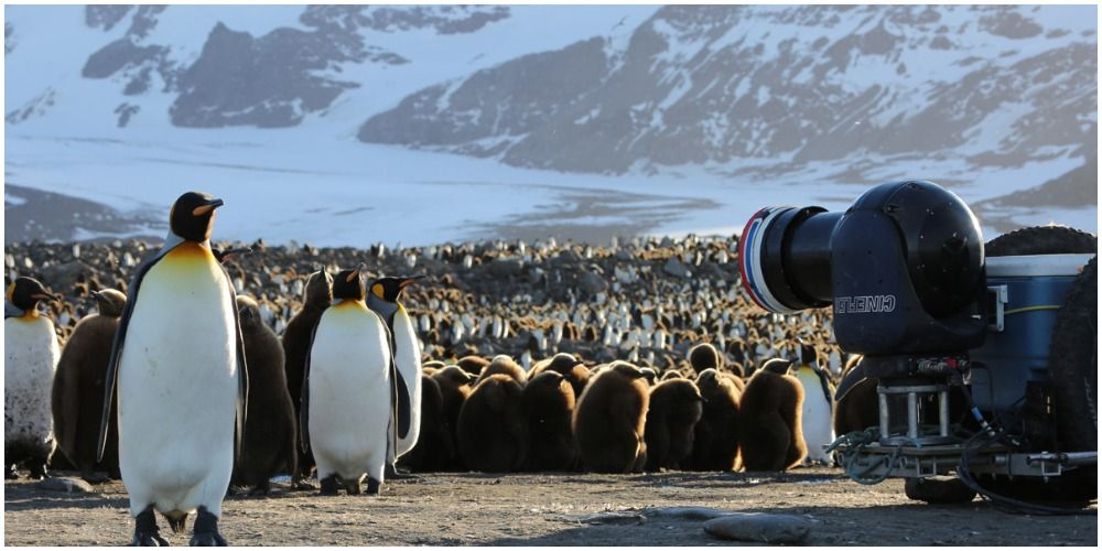 10 Shows To Binge If You're A Nature Lover & Where To Find Them, Ranked ...