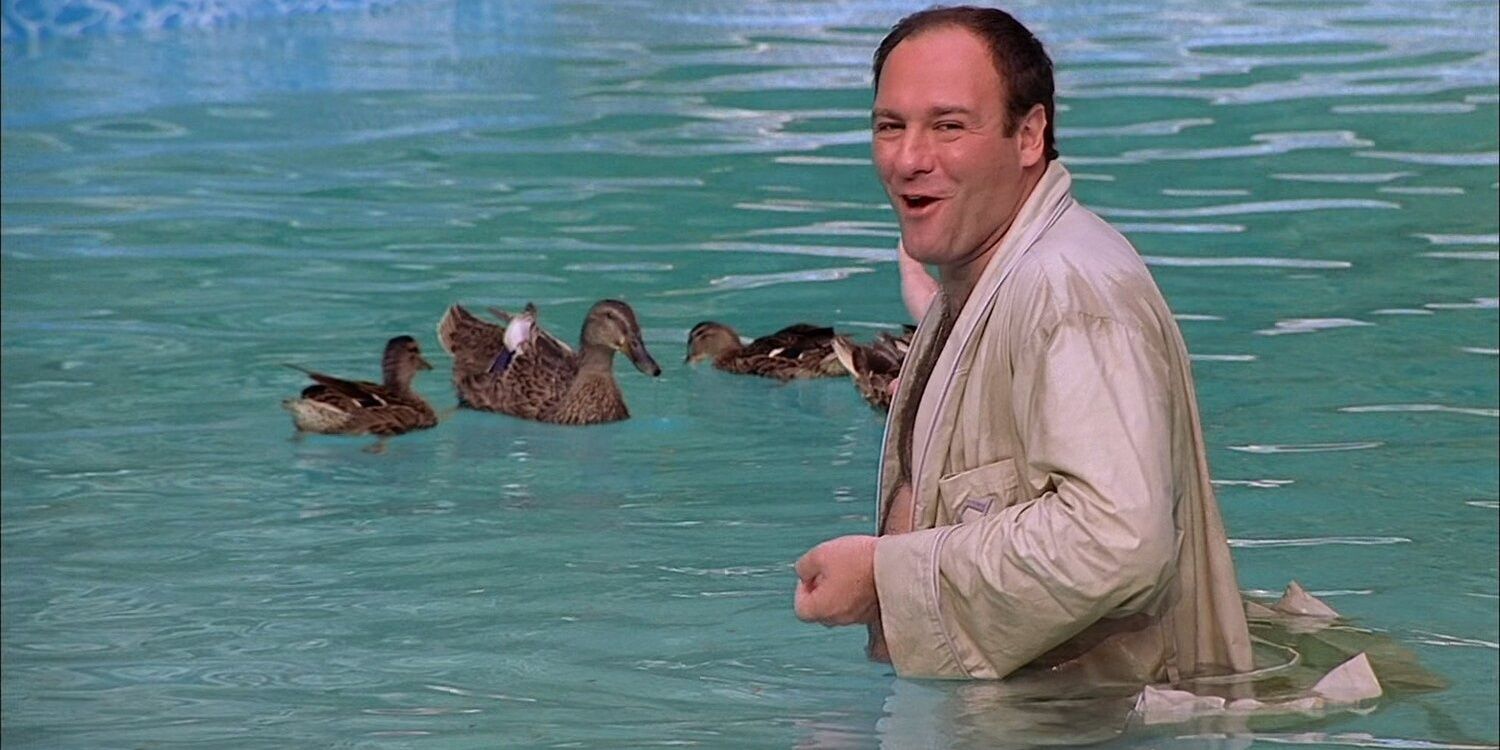 The Sopranos: All 6 Animal Symbols For Tony (& What They Mean)