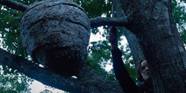 The Hunger Games Mutts 9 Other Terrifying Creatures 