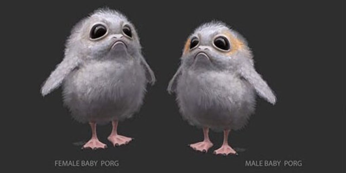 Star Wars: 10 Details About Porgs You Missed