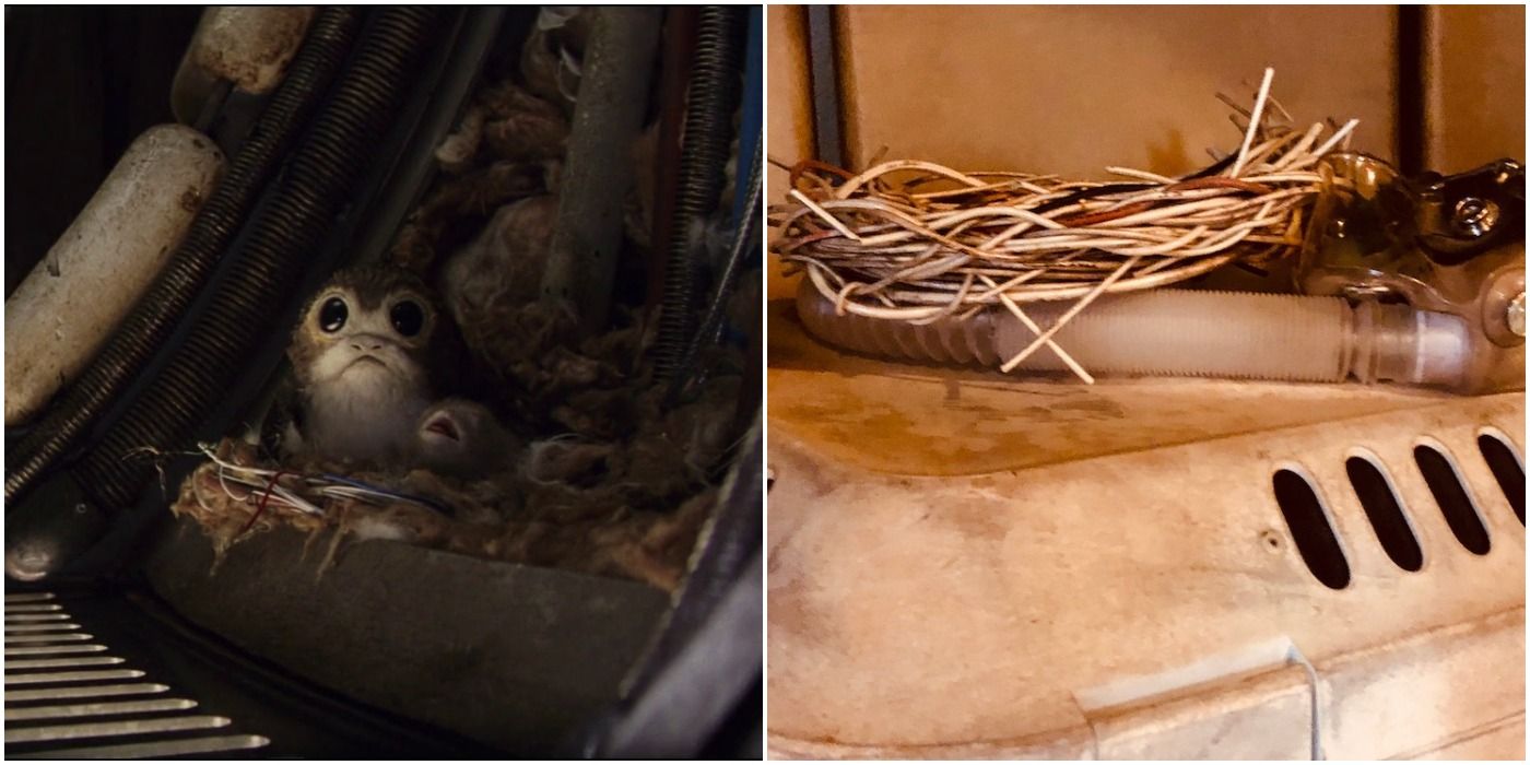 Star Wars: 10 Details About Porgs You Missed