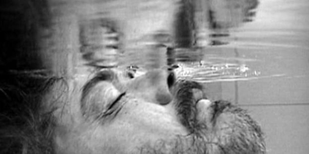 10 Best Canadian Mockumentaries, Ranked