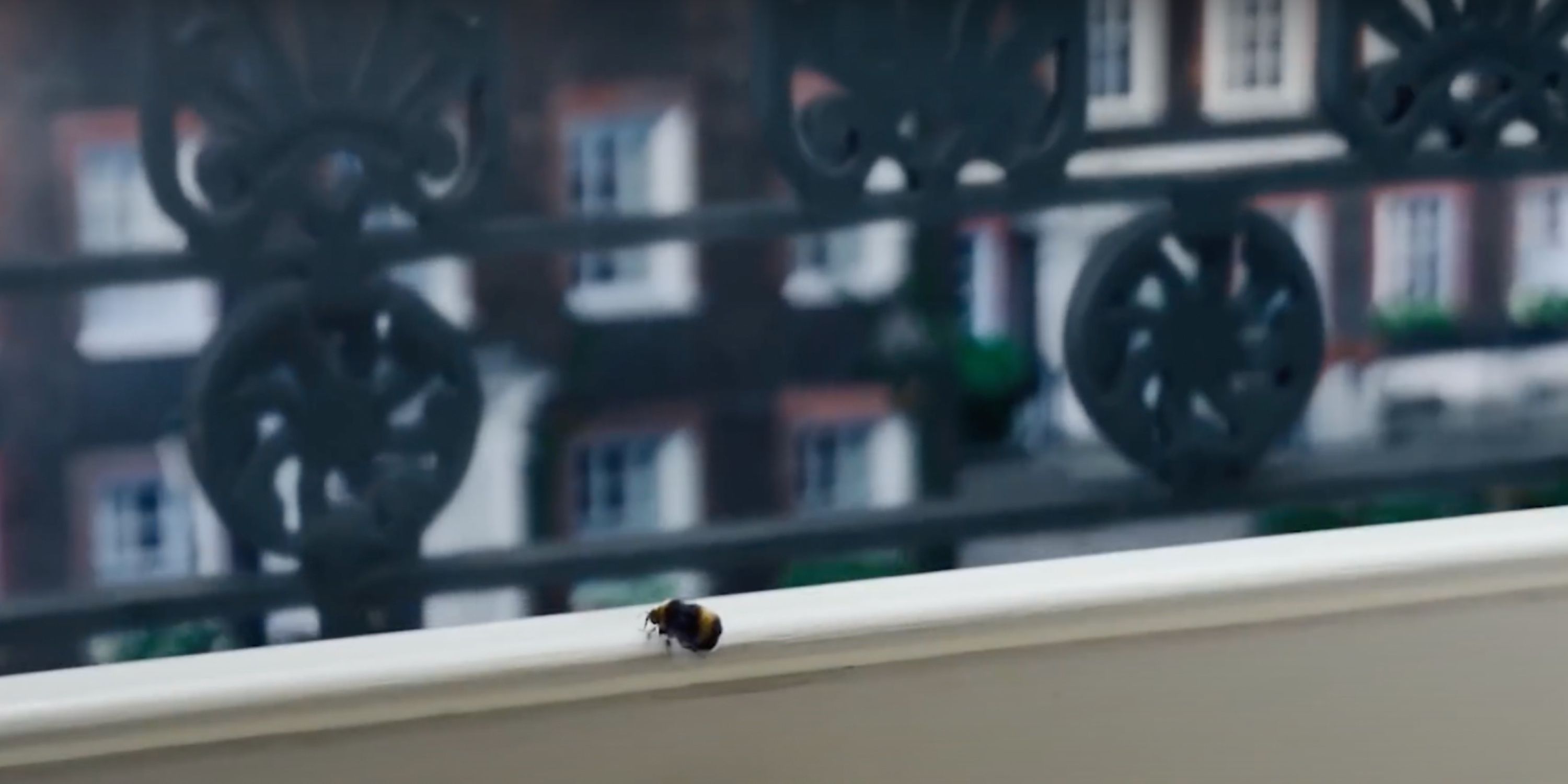 Bridgerton: Every Bee Hidden In Season 1