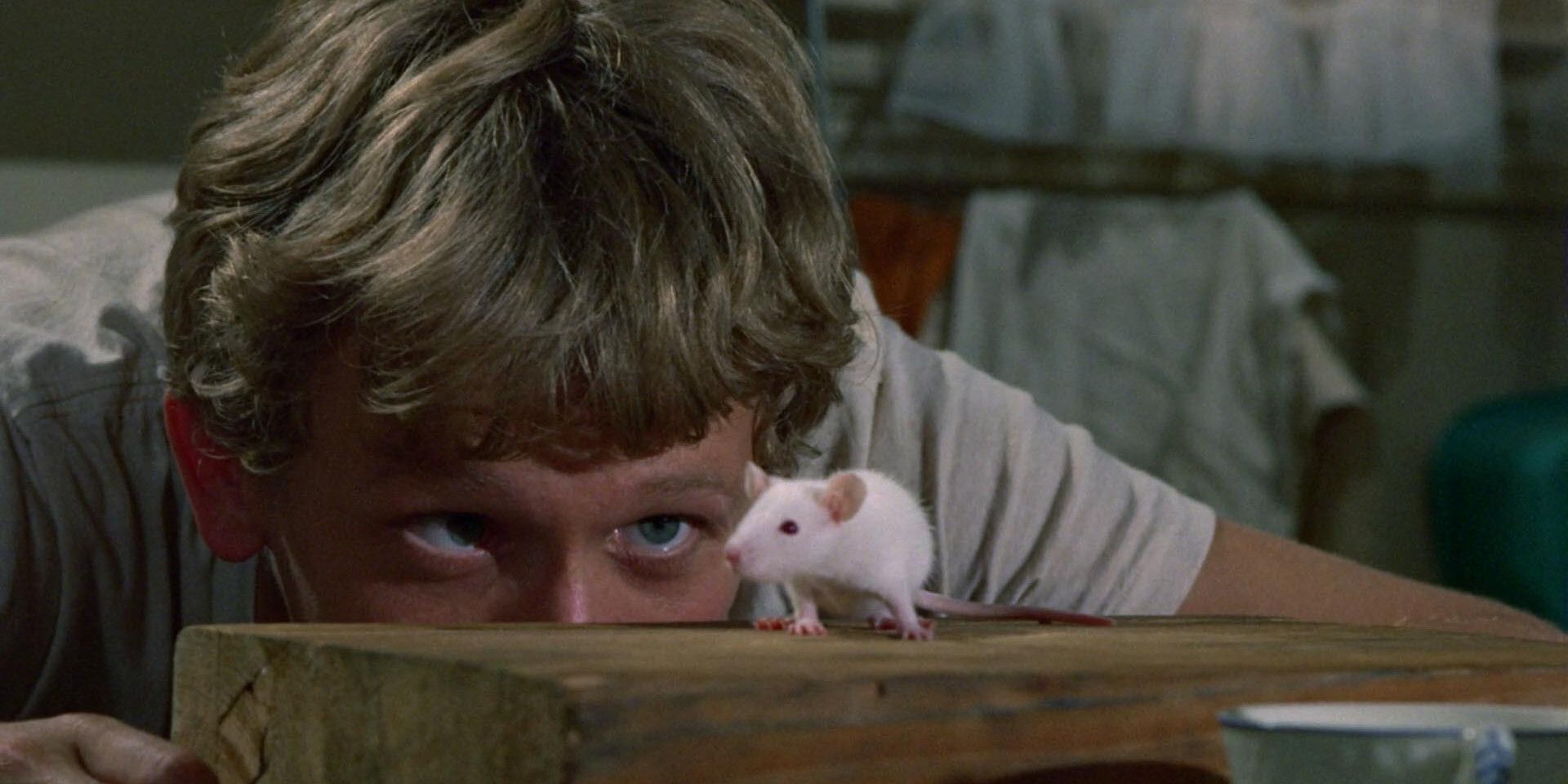 8 Best Obscure Horror Movies To Stream On HBO Max, Ranked